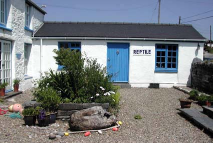 Contact – Reptile Tiles