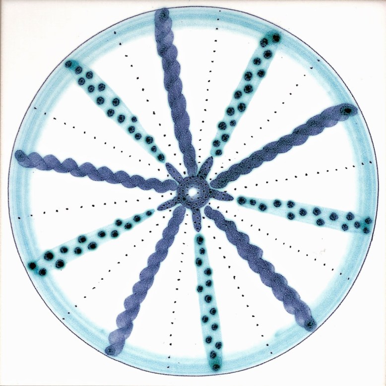 Diatom tiles – Reptile Tiles