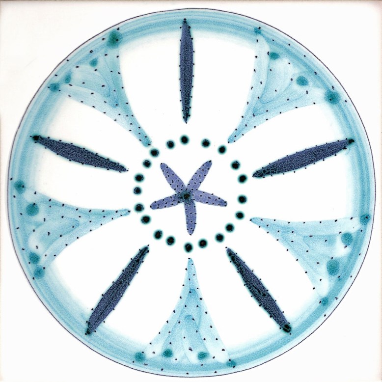 Diatom tiles – Reptile Tiles