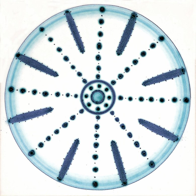 Diatom tiles – Reptile Tiles