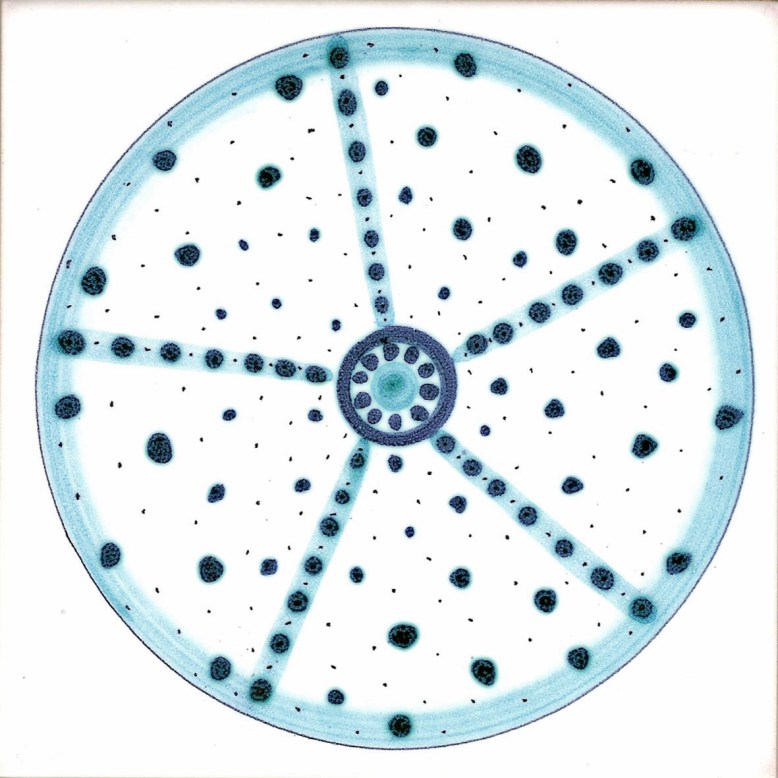 Diatom tiles – Reptile Tiles