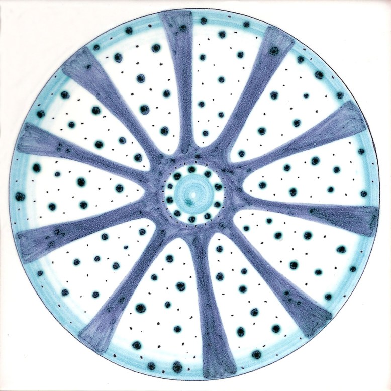 Diatom tiles – Reptile Tiles