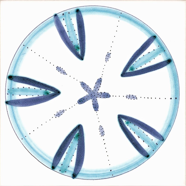 Diatom tiles – Reptile Tiles