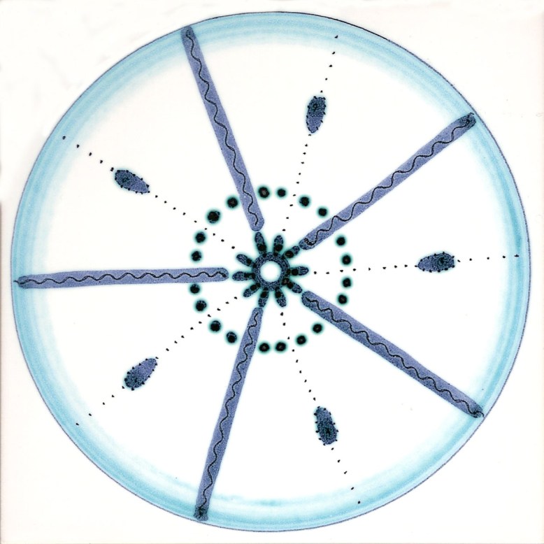 Diatom tiles – Reptile Tiles