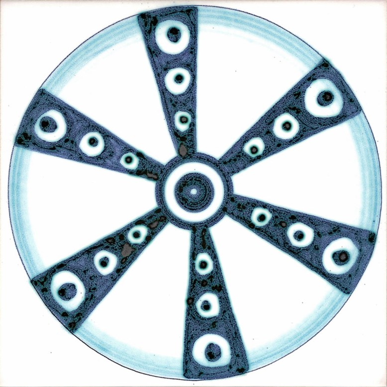Diatom tiles – Reptile Tiles